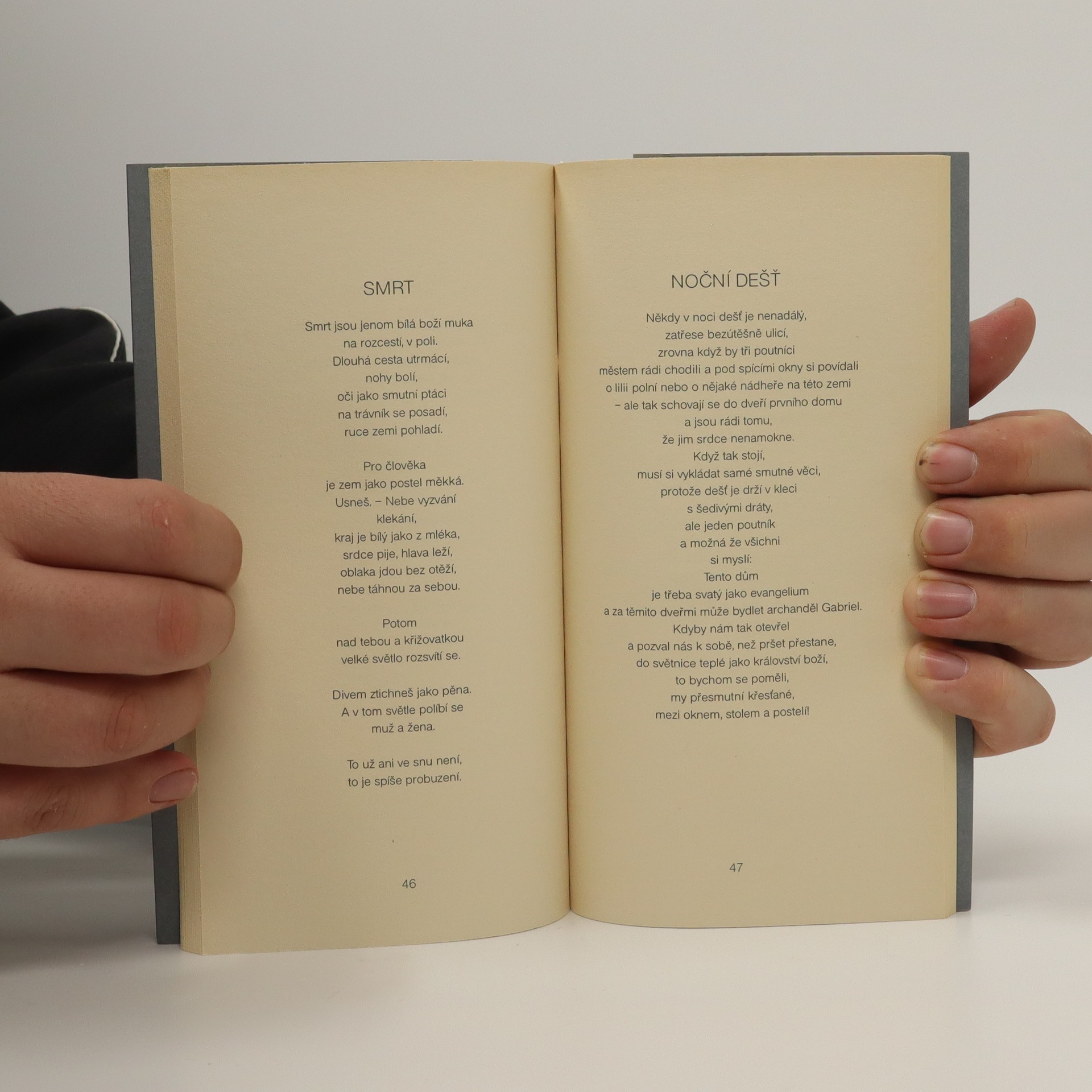 Host do domu - Wolker, Jiří - knihobot.cz