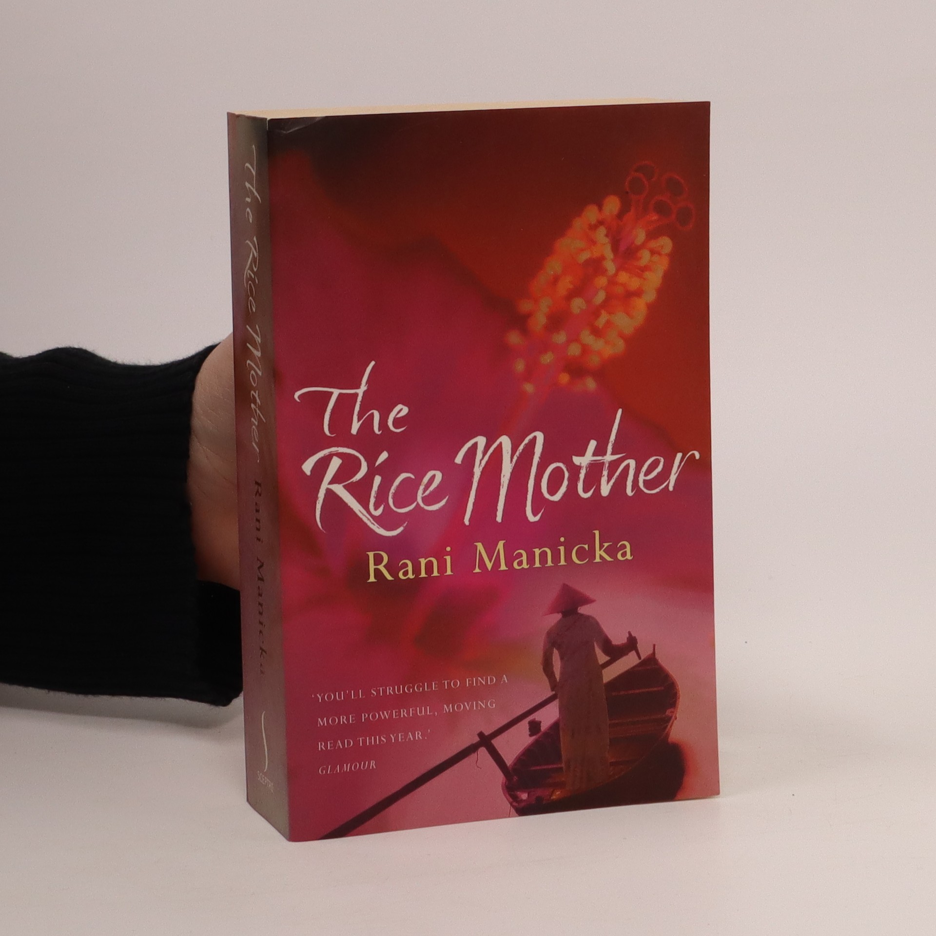 The Rice Mother - Manicka Rani - knihobot.cz