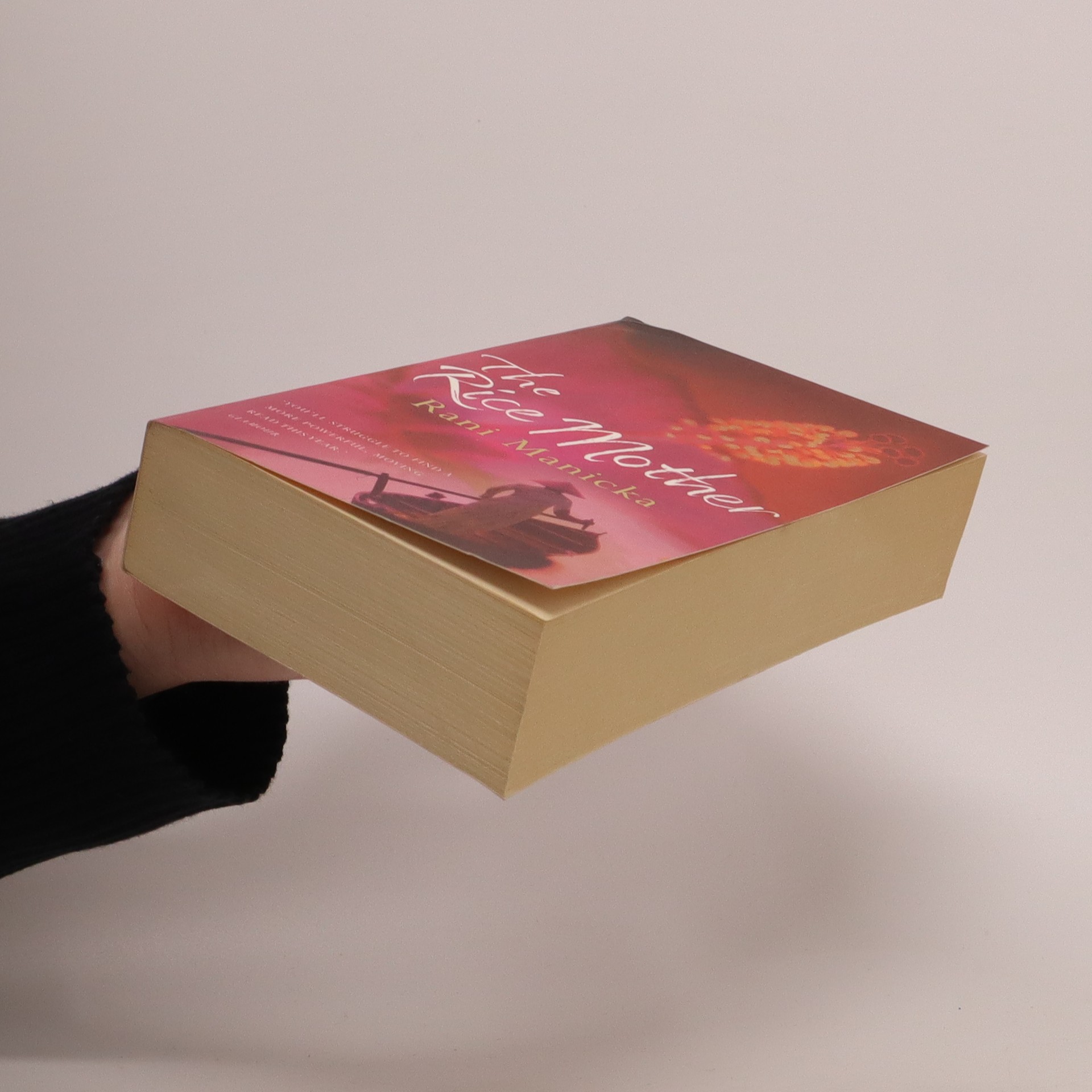 The Rice Mother - Manicka Rani - knihobot.cz