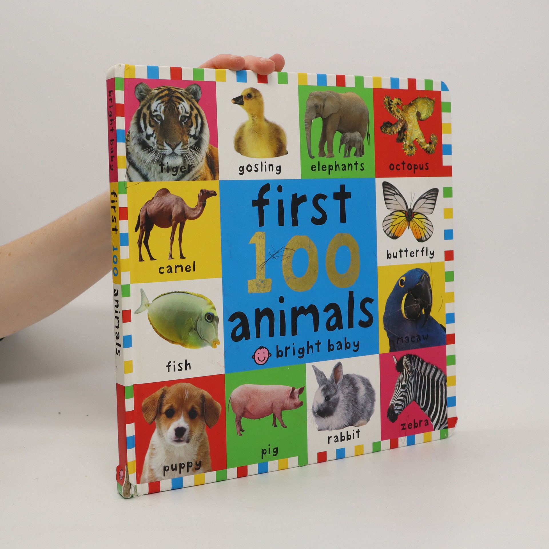 First 100 Animals - Priddy, Roger - knihobot.cz