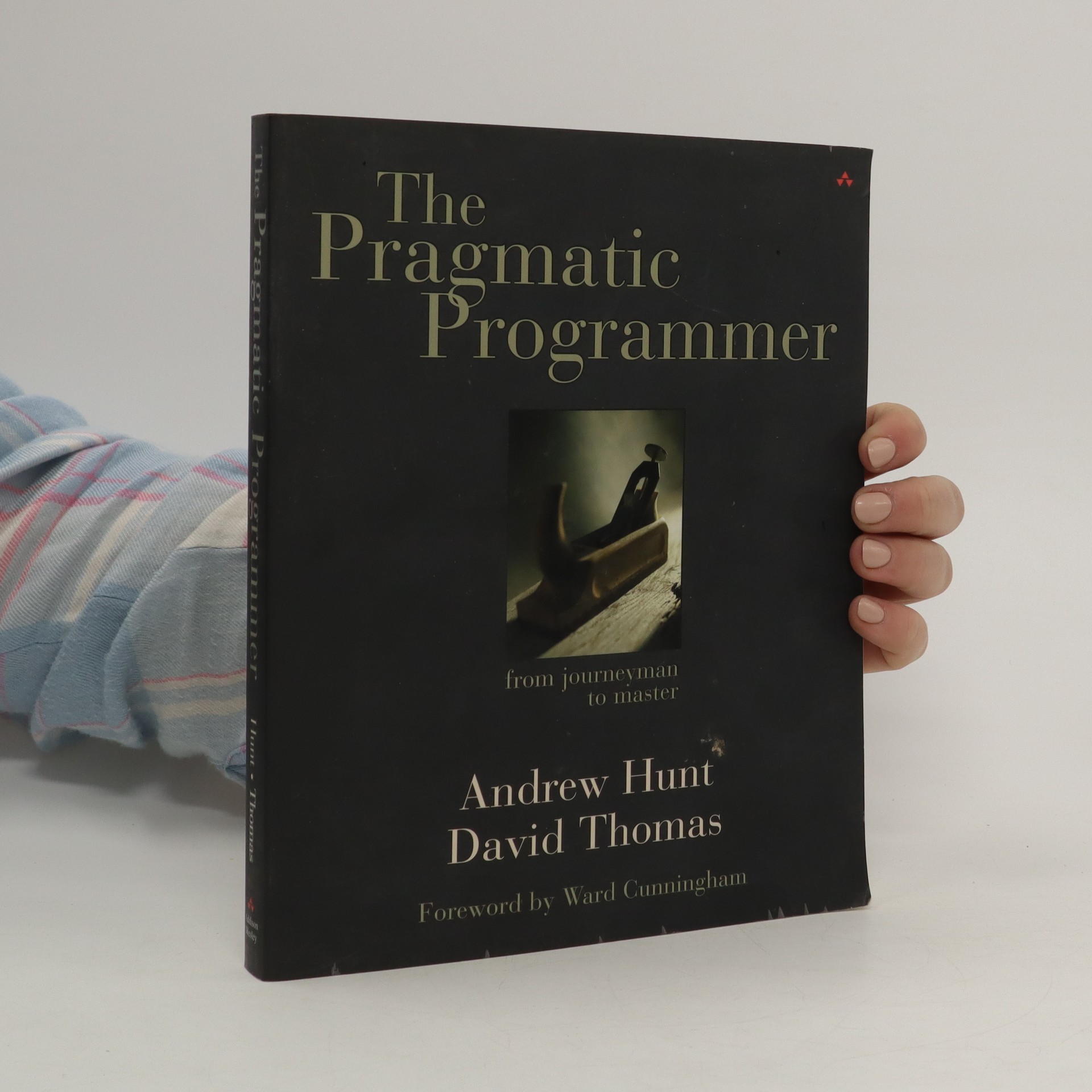 The Pragmatic Programmer - Hunt, Andrew - knihobot.cz