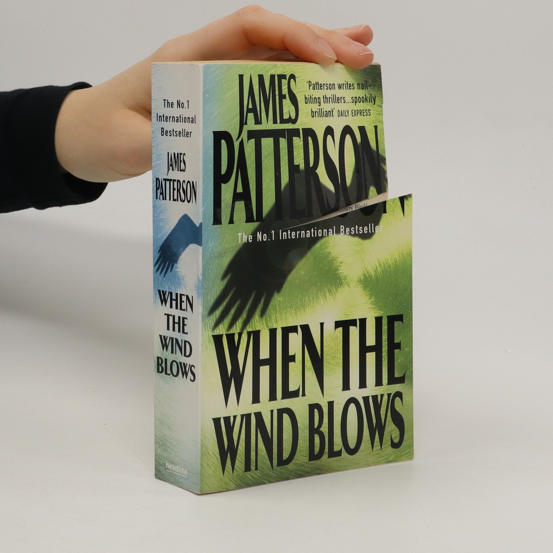 When The Wind Blows - Patterson, James - knihobot.cz