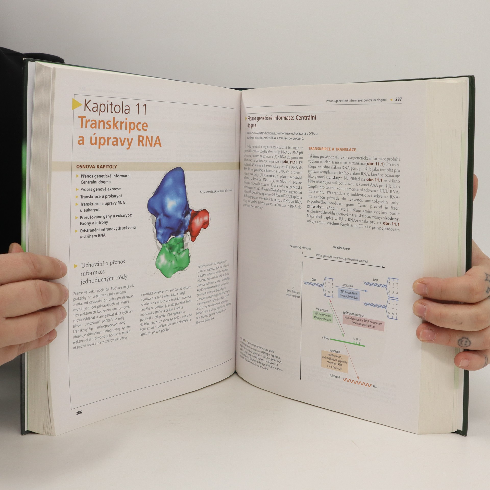 Genetika - Snustad, D. Peter - knihobot.cz