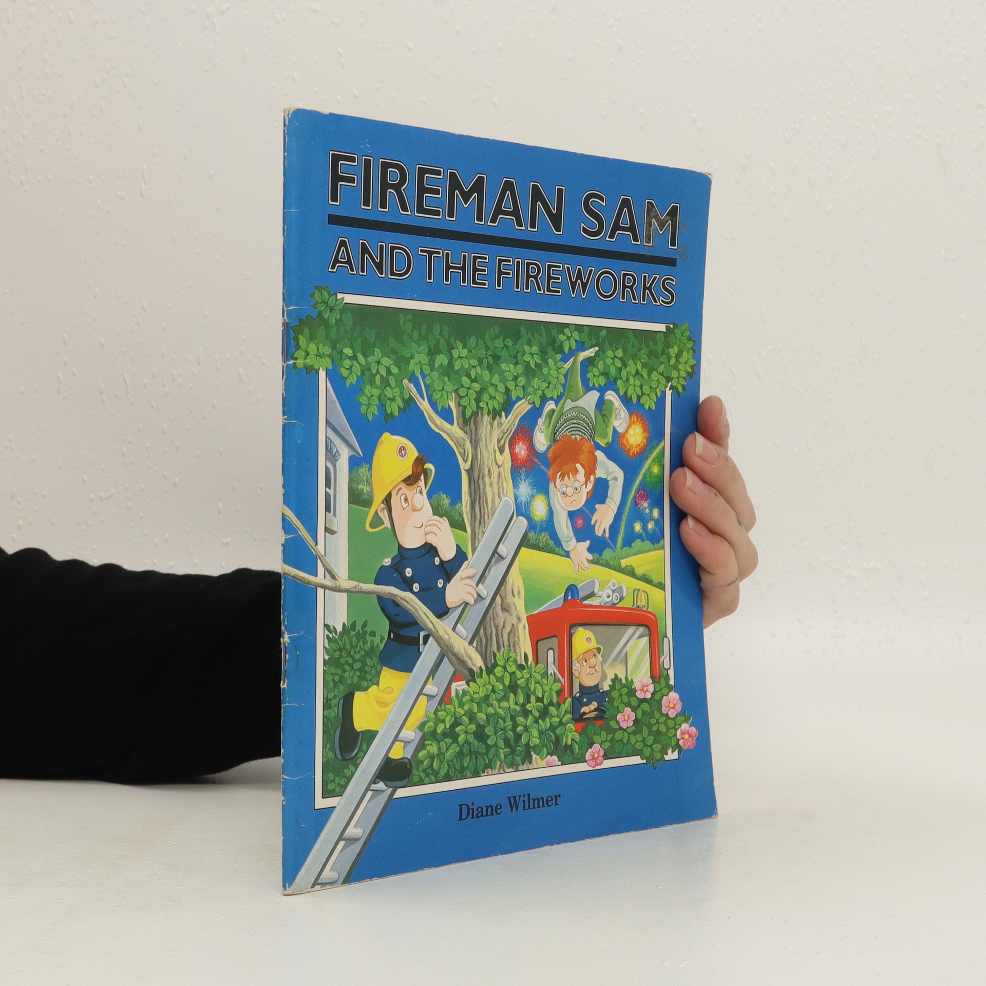 Fireman Sam and the Fireworks - Wilmer, Diane - knihobot.sk