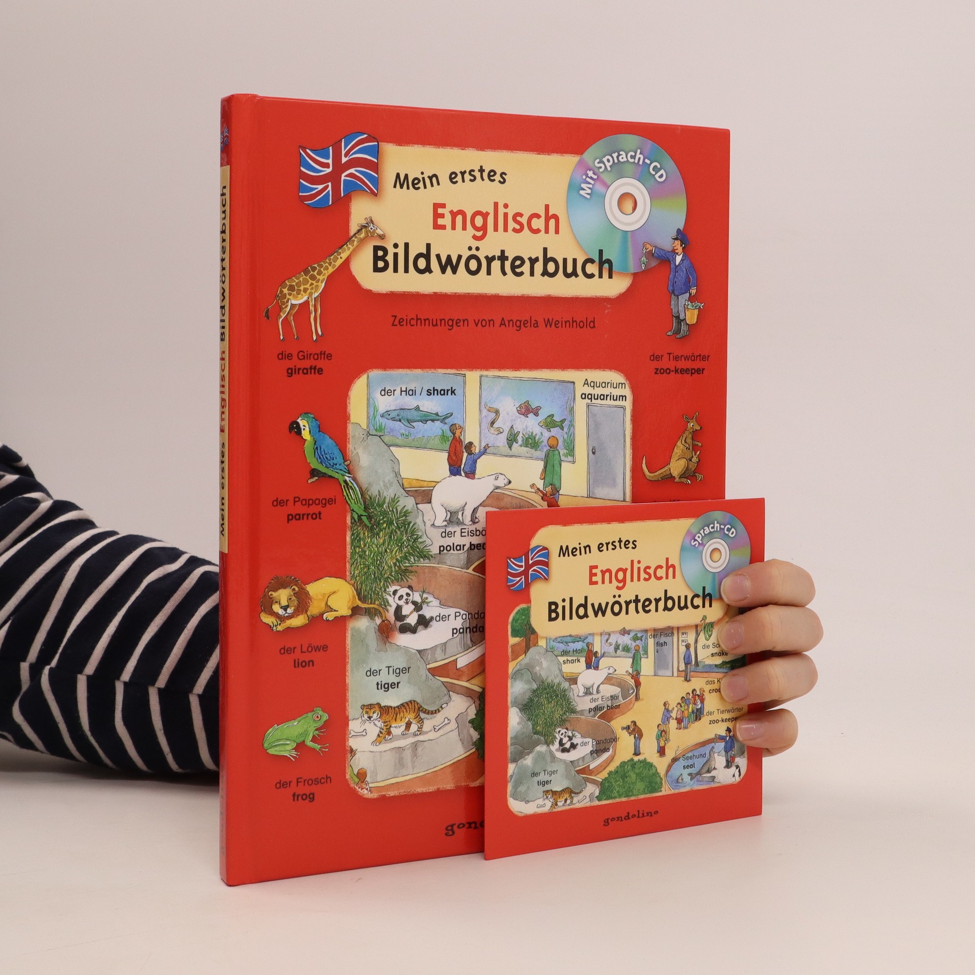 Mein erstes Englisch Bildwörterbuch - kolektiv - knihobot.sk