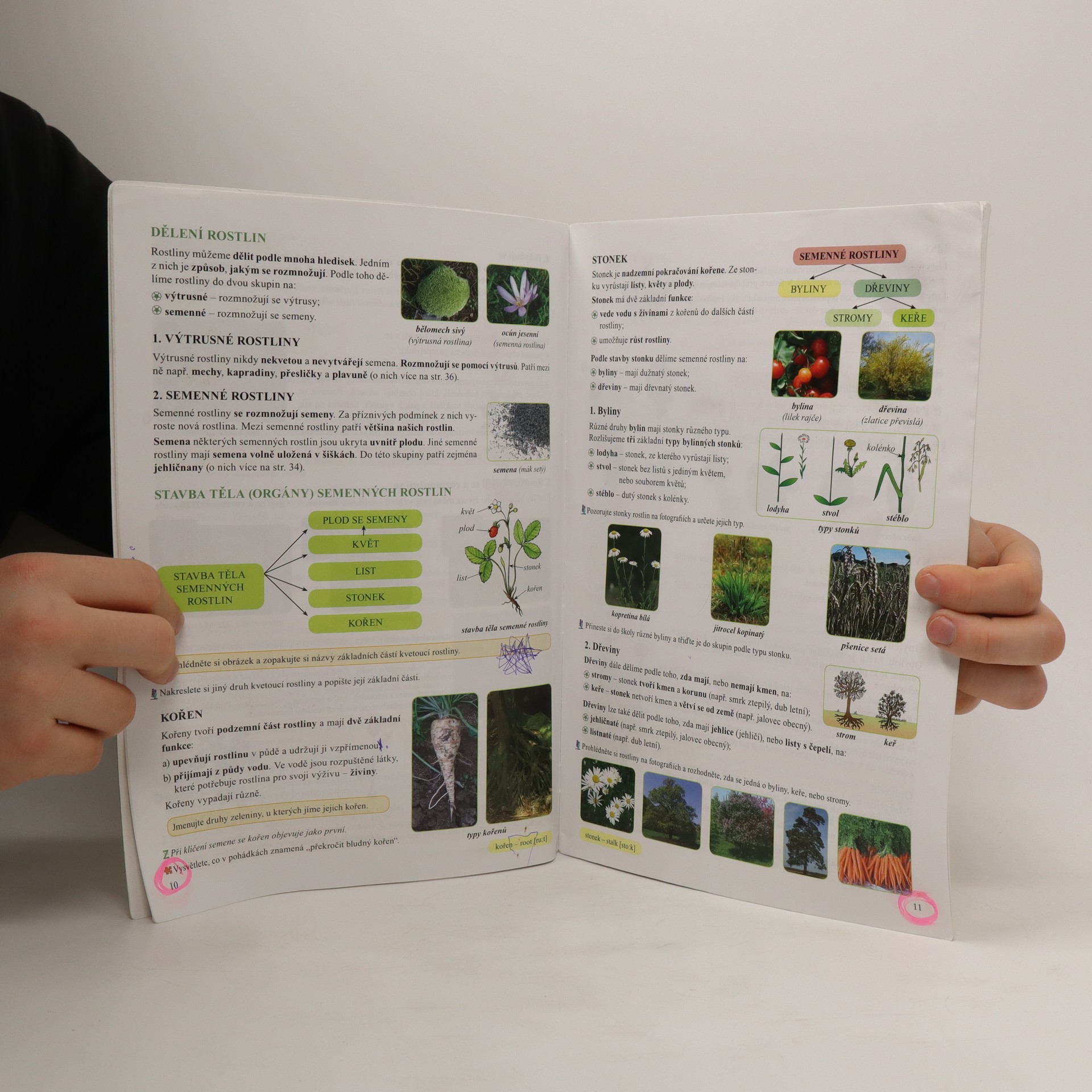 Přírodověda 4: Učebnice pro 4. ročník základní školy - Andrýsková ...