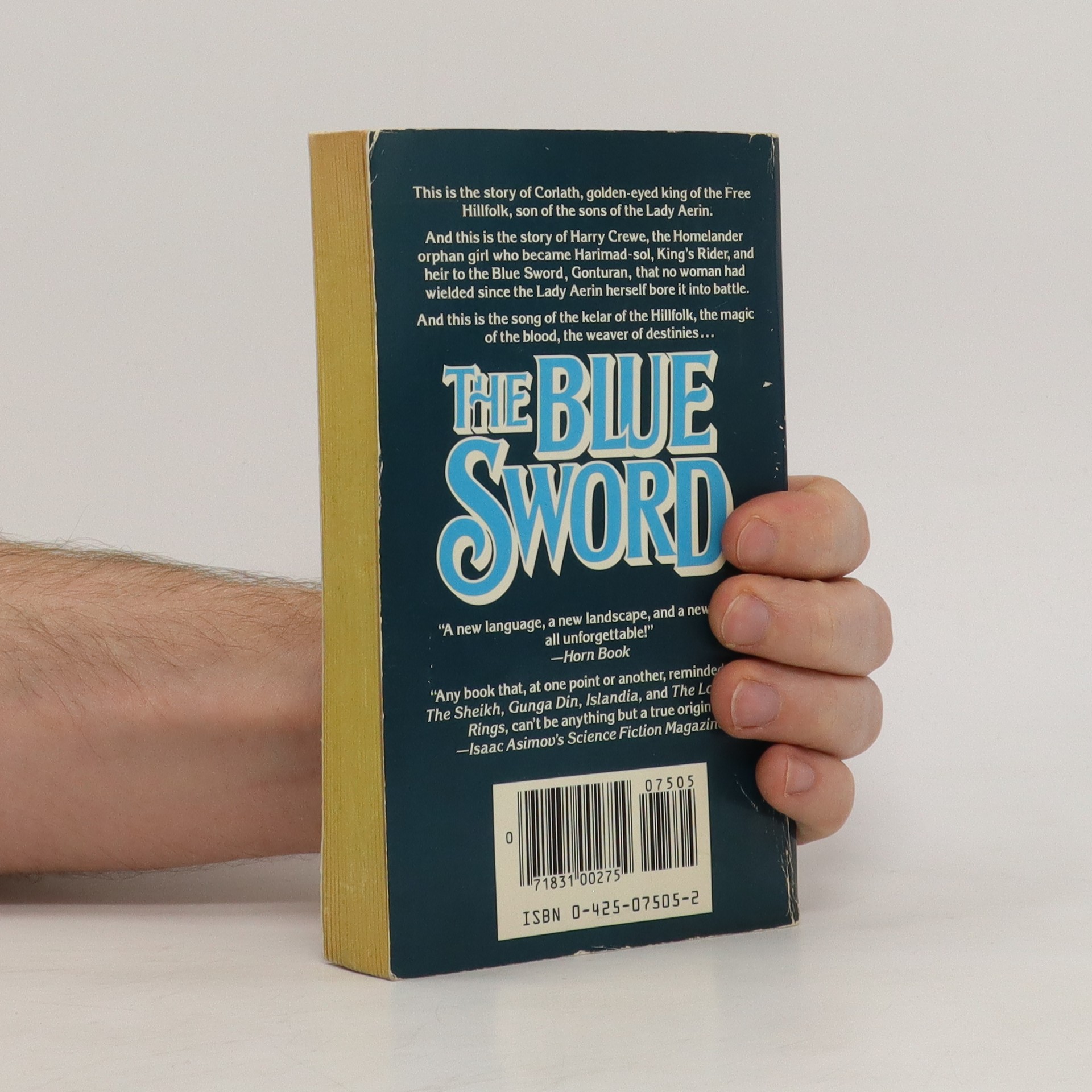 The Blue Sword - McKinley, Robin - knihobot.cz