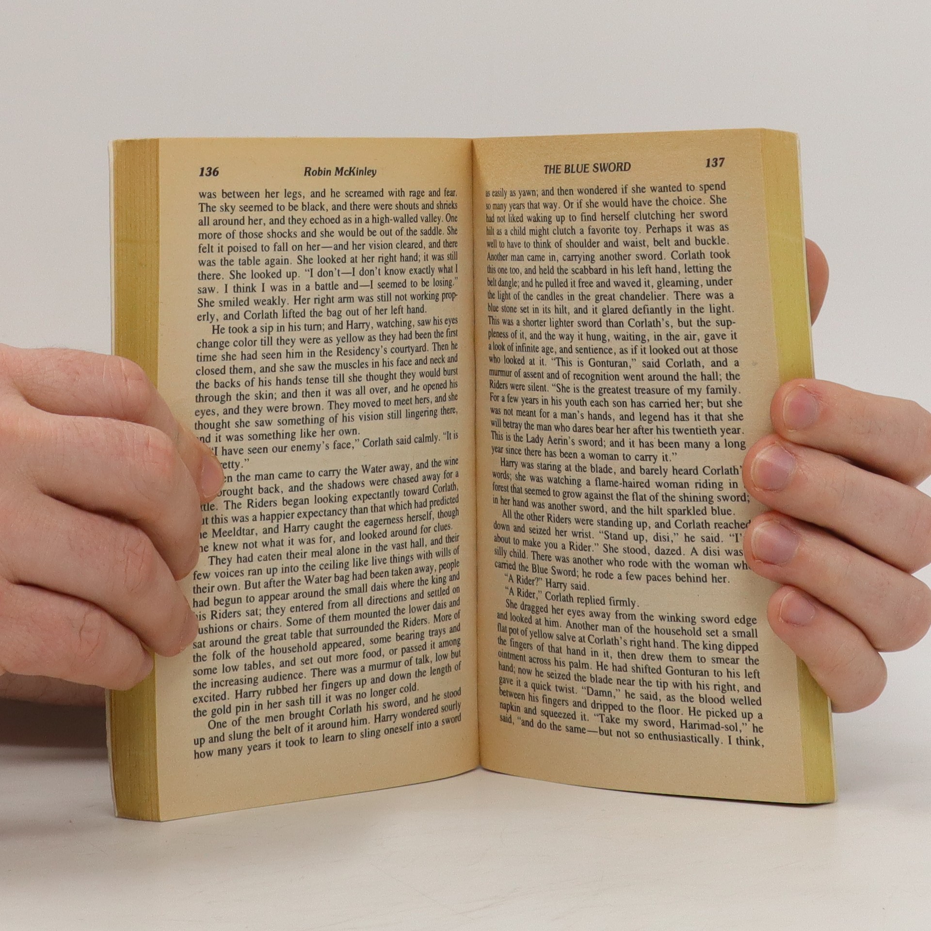 The Blue Sword - McKinley, Robin - knihobot.cz