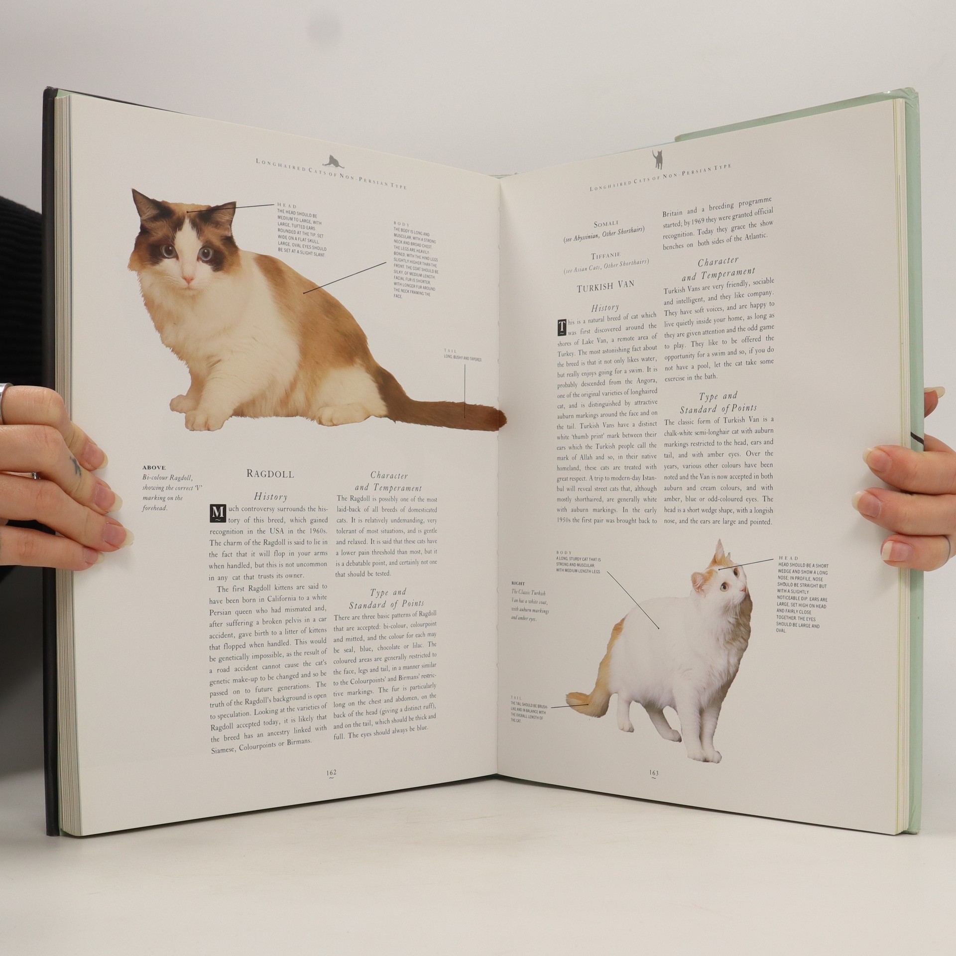 The complete cat book - Cutts, Paddy - knihobot.cz