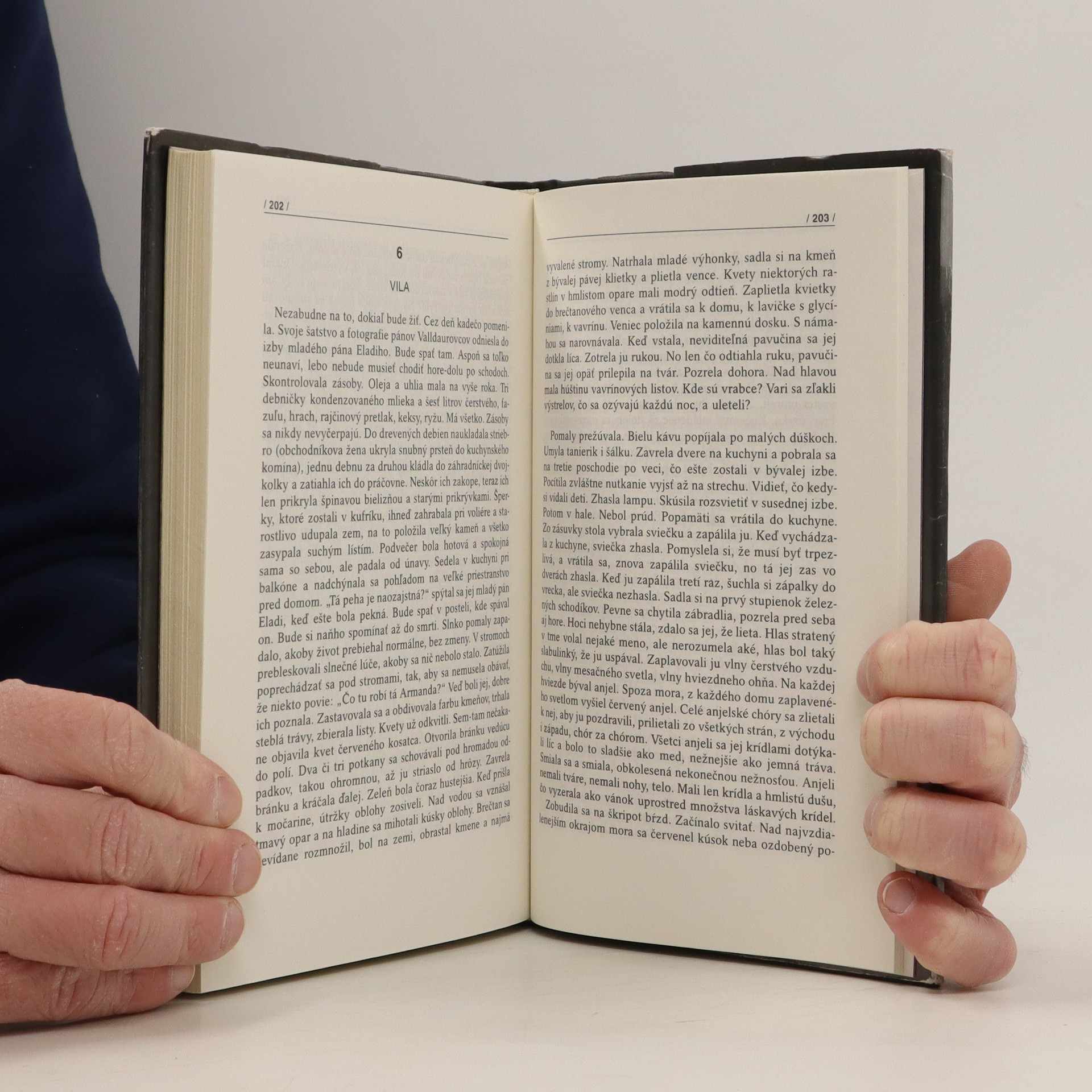 Rozbité zrkadlo - Rodoreda, Mercè - knihobot.cz