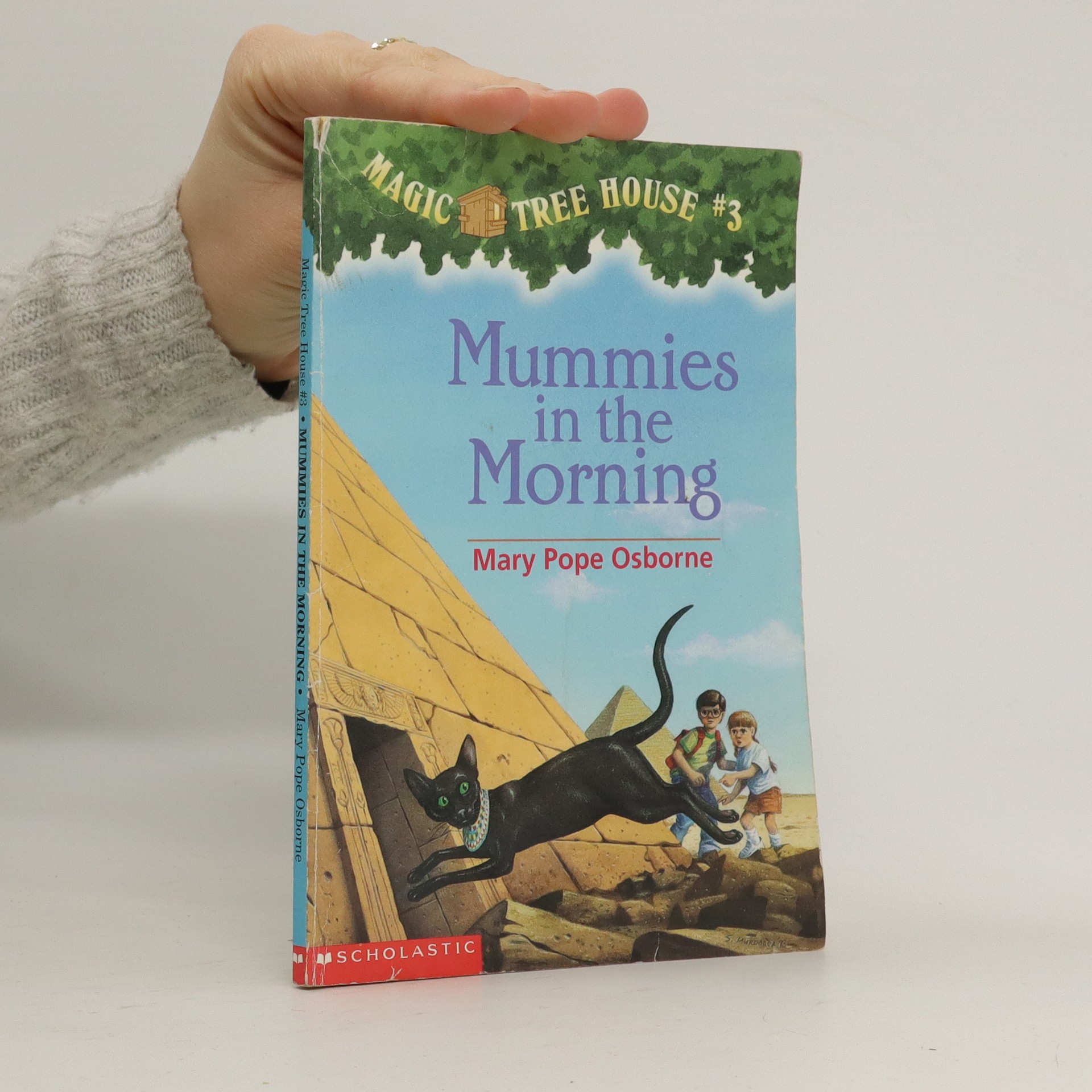 Mummies in the Morning - Osborne, Mary Pope - knihobot.cz