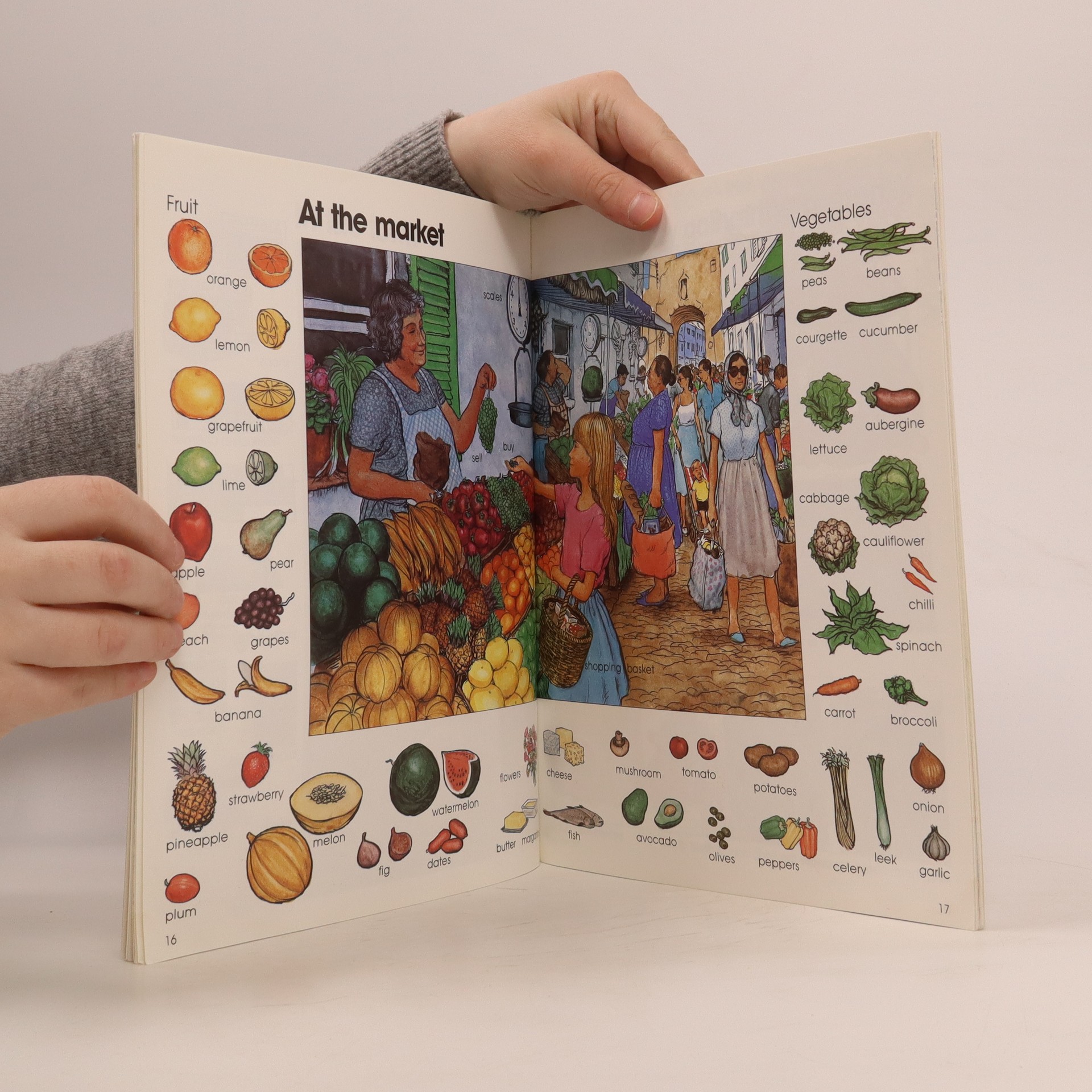 Longman Picture Wordbook - Abbs, Brian - knihobot.cz