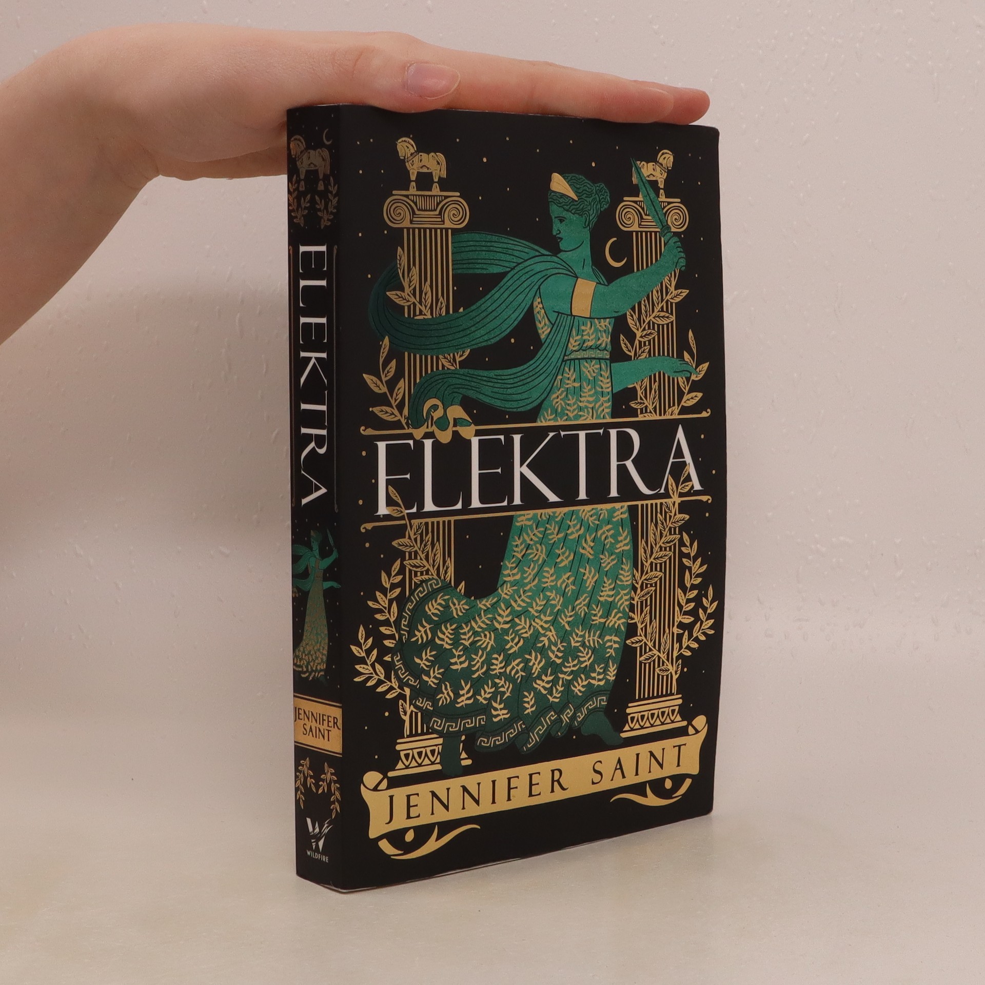 Elektra - Saint, Jennifer - knihobot.cz