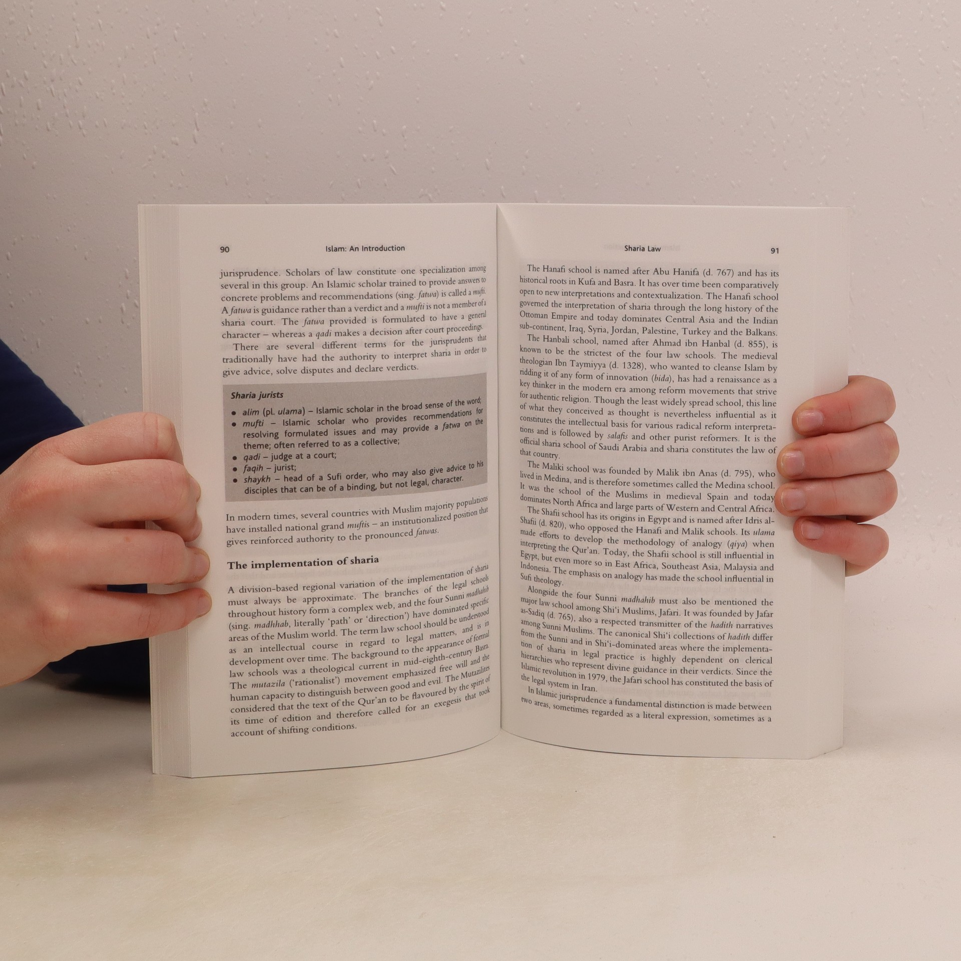 Islam : an introduction - Raudvere, Catharina - knihobot.cz