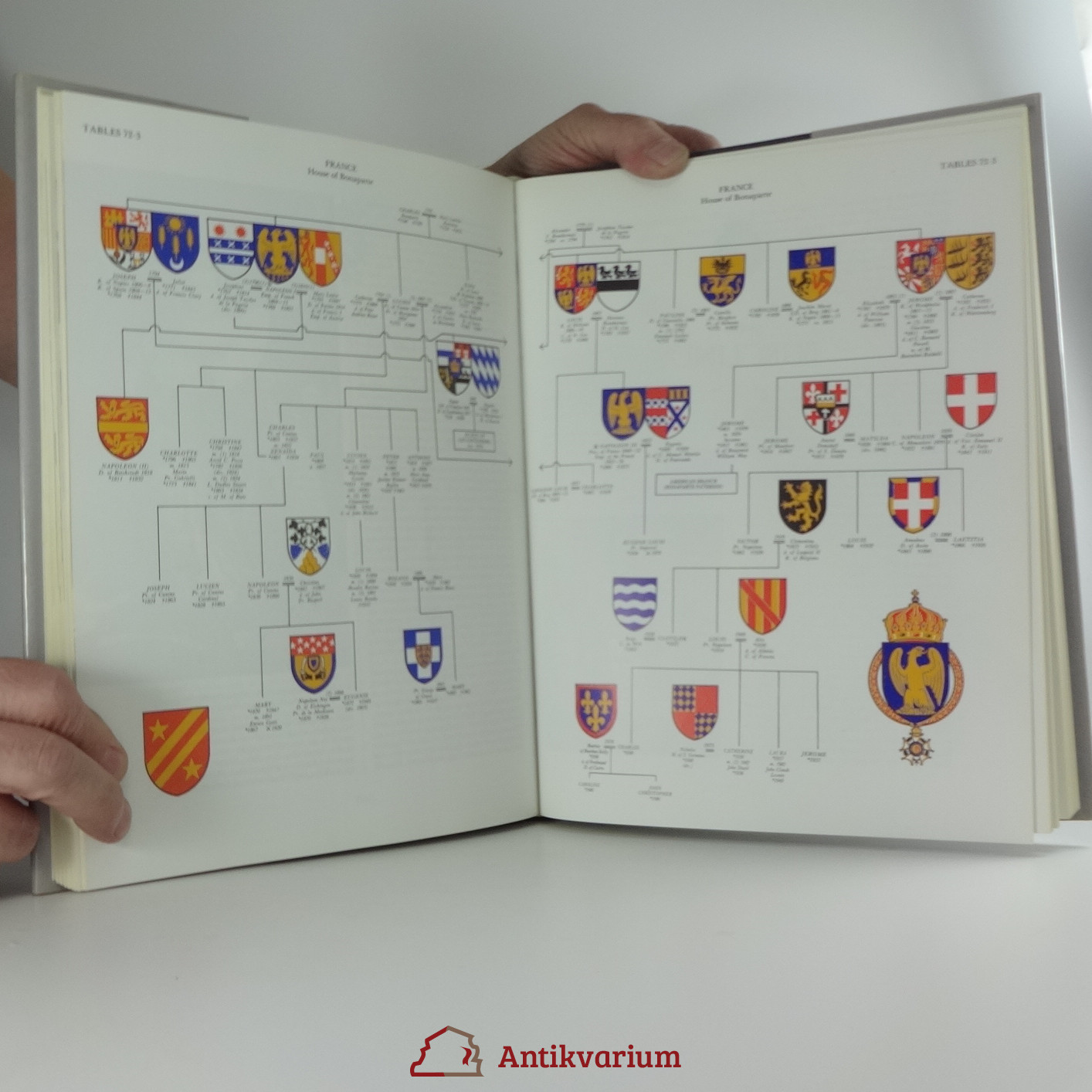 Lines of succession : heraldry of the royal families of Europe - Louda ...