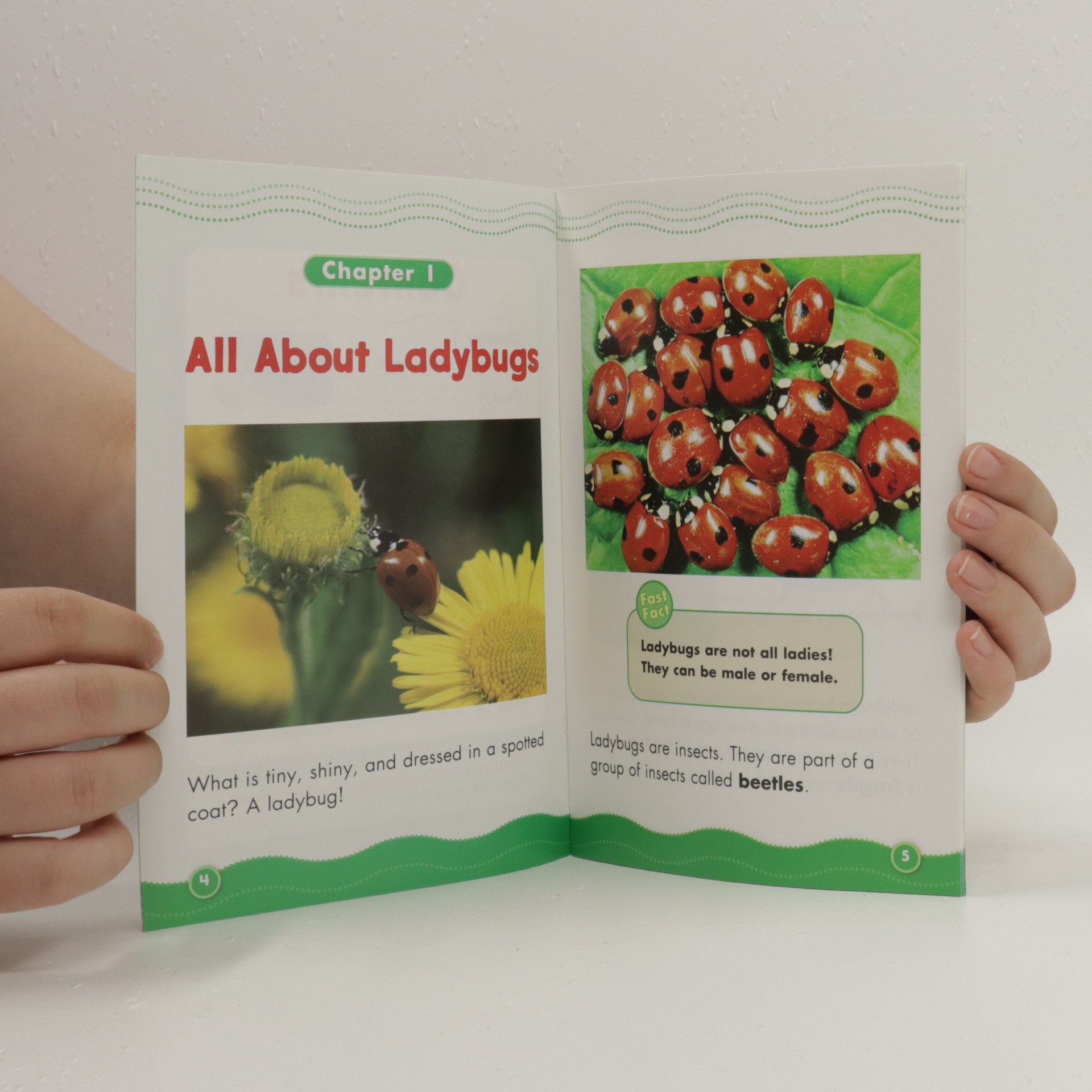 Ladybug Life Cycle - Martin, Justin McCory - knihobot.cz