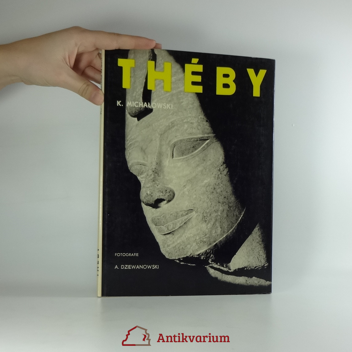 Théby - Michałowski, Kazimierz - knihobot.cz