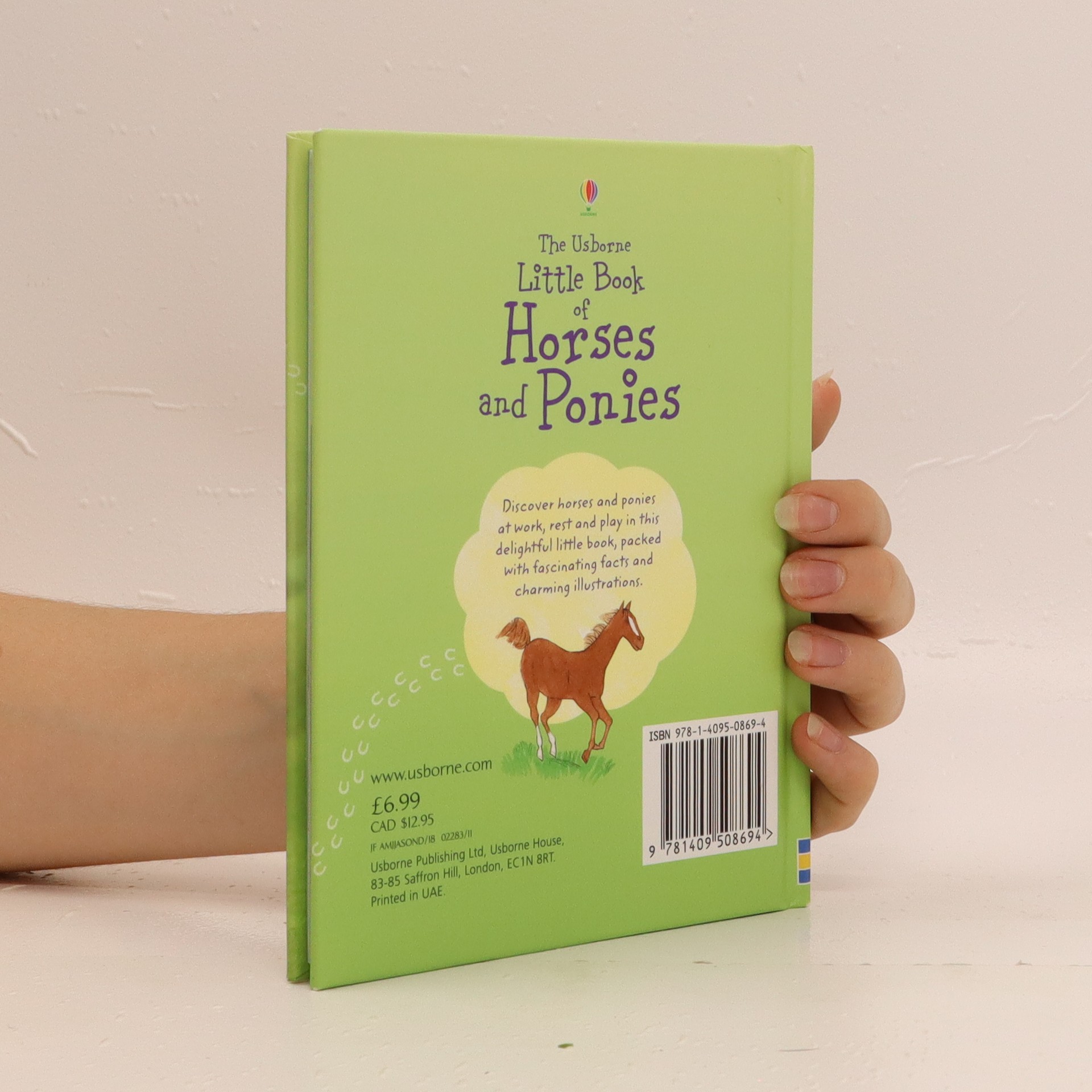 The Usborne Little book of horses and ponies - kolektiv - knihobot.cz