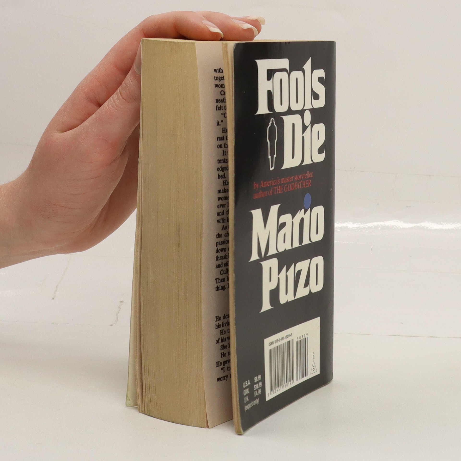 Fools Die - Puzo, Mario - knihobot.cz