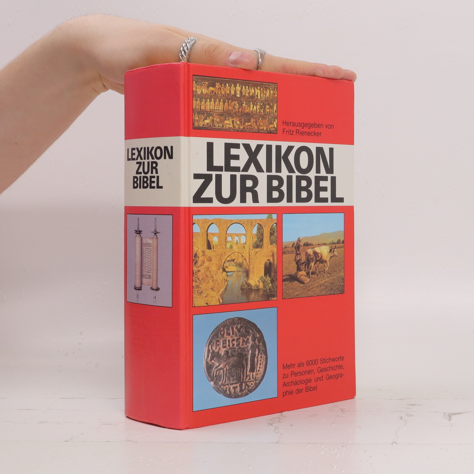 Lexikon zur Bibel - Rienecker, Fritz - knihobot.cz