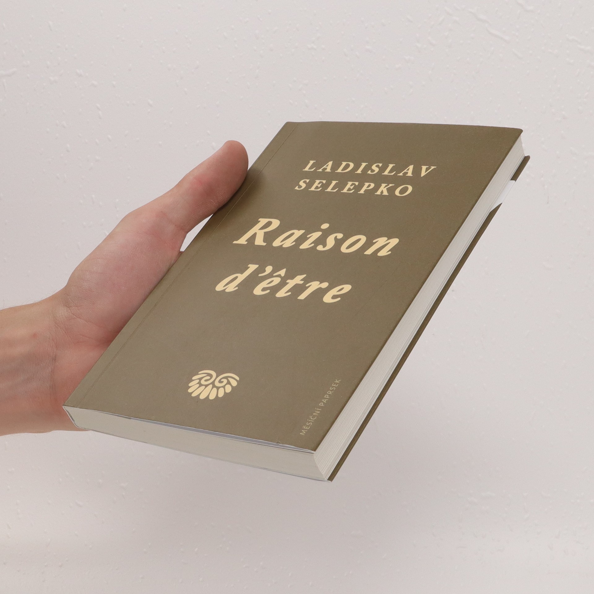 Raison d’etre - Selepko, Ladislav - knihobot.sk