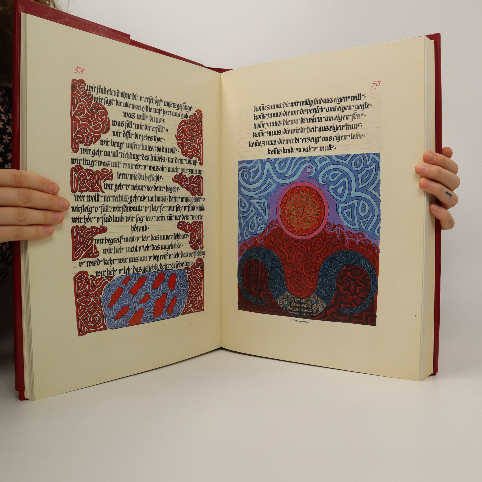 The Red Book. Liber novus - Jung, Carl Gustav - knihobot.cz