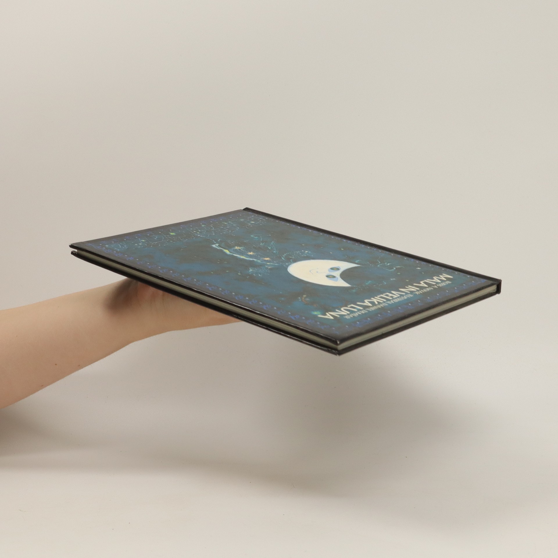 Mala in velika luna (slovinsky) - Novak, Boris A. - knihobot.sk