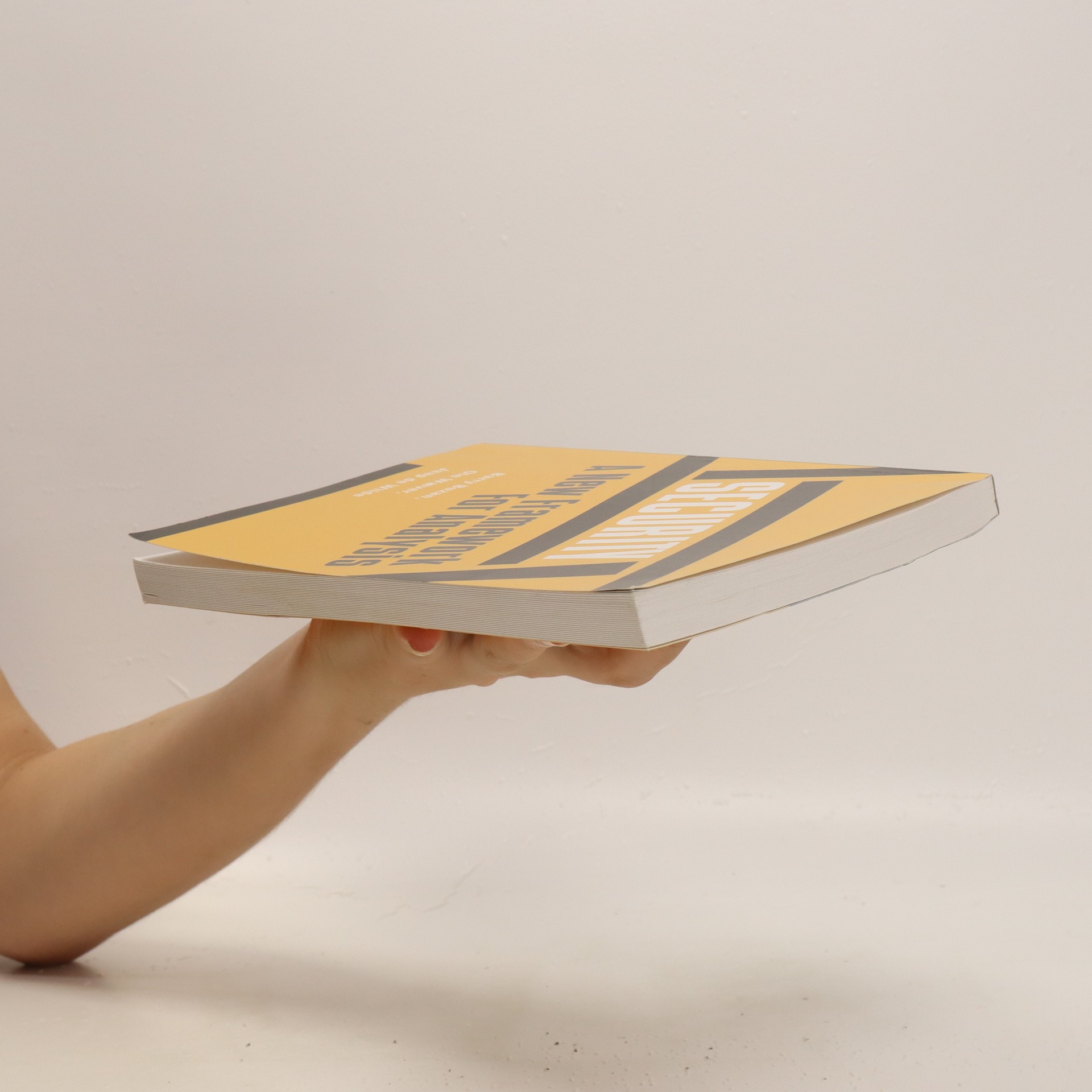 Security : a new framework for analysis - Buzan, Barry - knihobot.cz